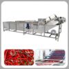 Stainless Steel Red Chilli Pepper Washing Machine