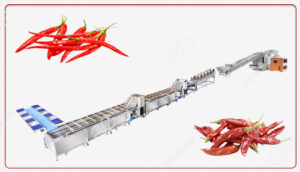 Chili Processing Solution Mnaufacturer | From AtoZ
