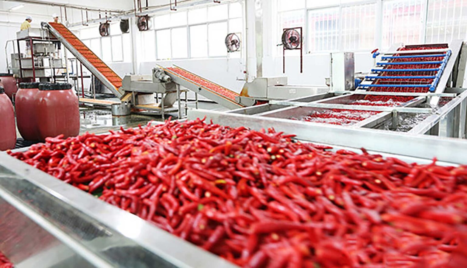 Chili Processing Solution Mnaufacturer | From AtoZ