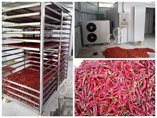 Red Chilli Drying Technology
